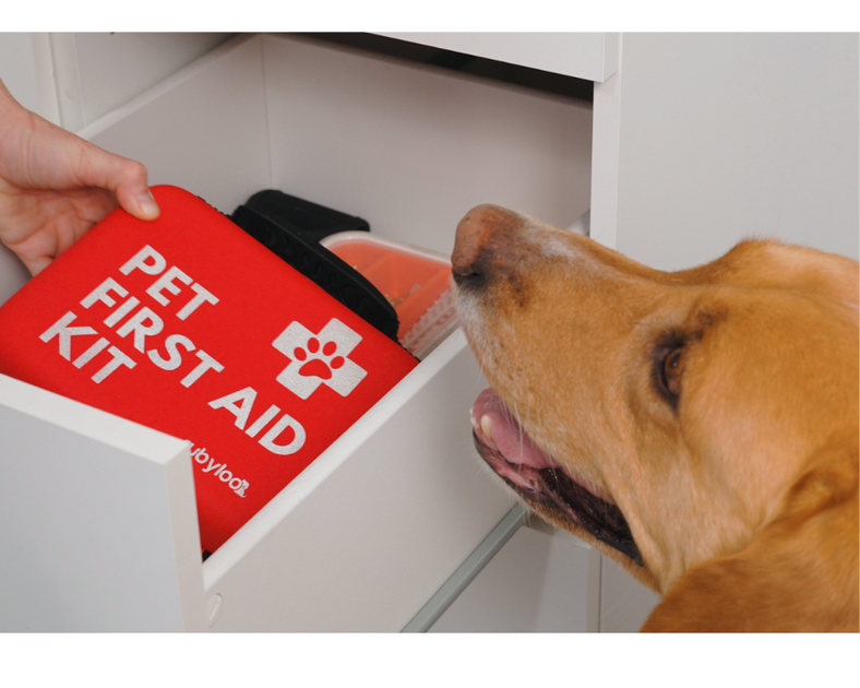 April is National Pet First Aid Awareness Month – Rubyloo